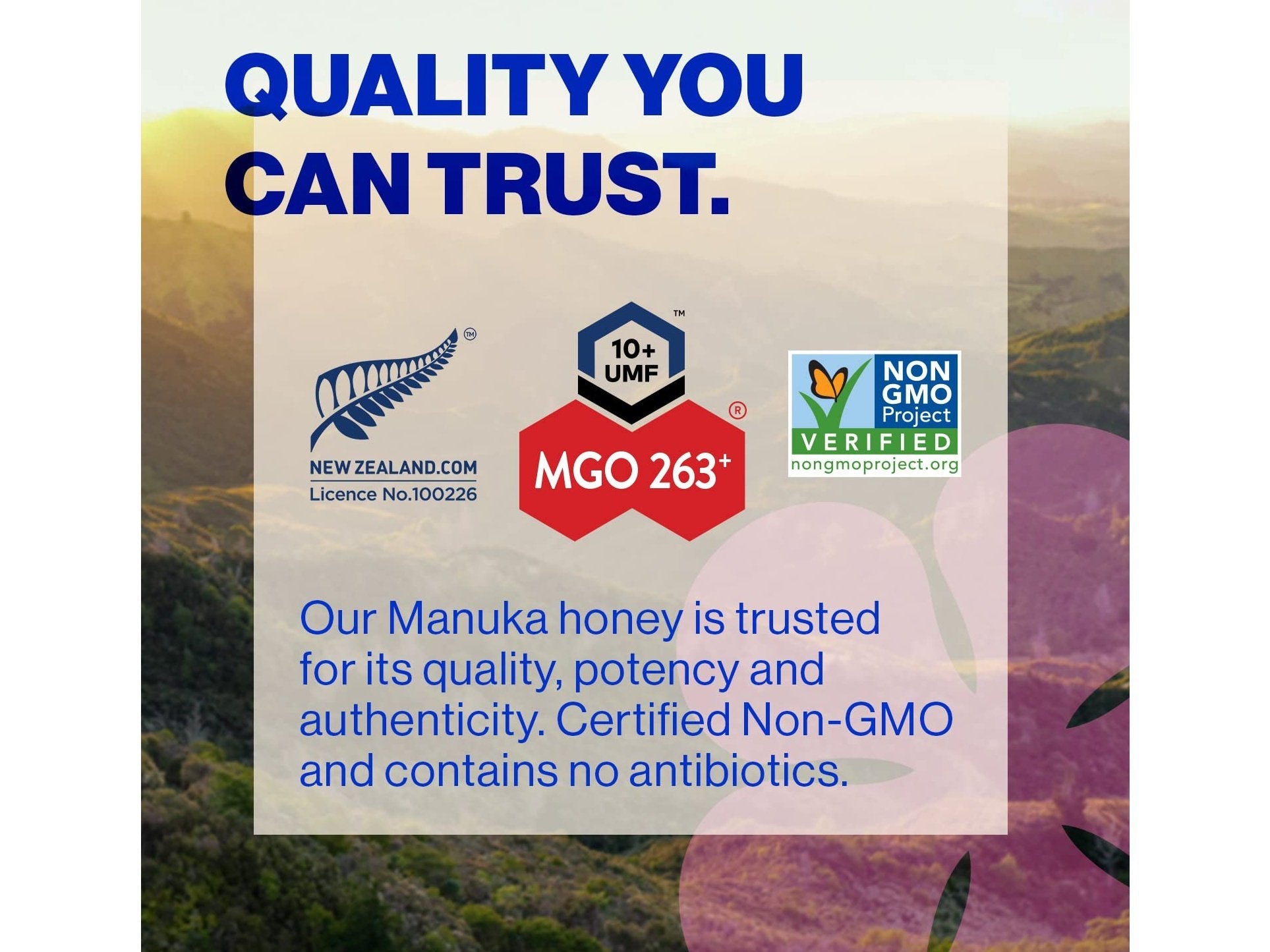 Manuka Health UMF 10 + / MGO 263+ Manuka Honey (250g / 8.8oz) ، سوبرفو ...